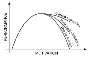 The Performance Paradox - Stephen Shapiro